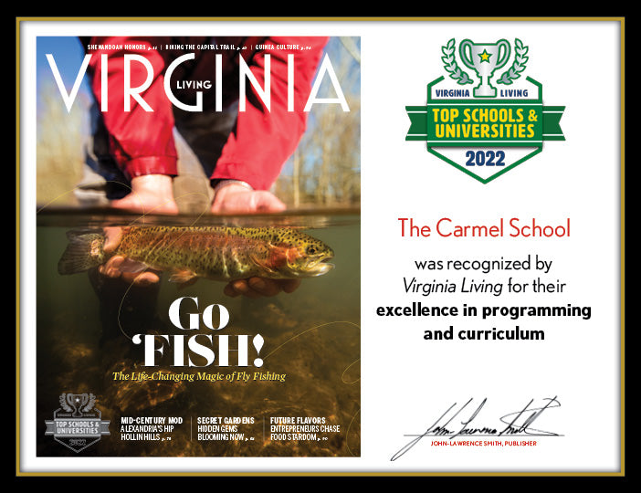 Official Top Schools & Universities Winner's Plaque, L (19.75" x 15")